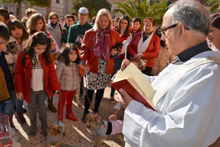 Valenzuela de Calatrava: “Forcadell” fue la guarrilla de San Antón ...